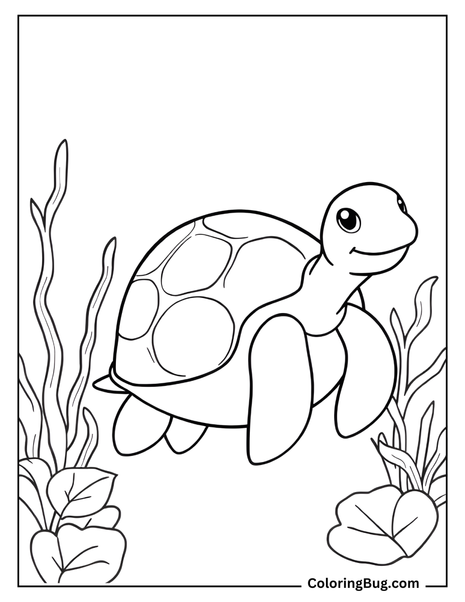 52 Turtle Coloring Pages (Free Printable PDFs)
