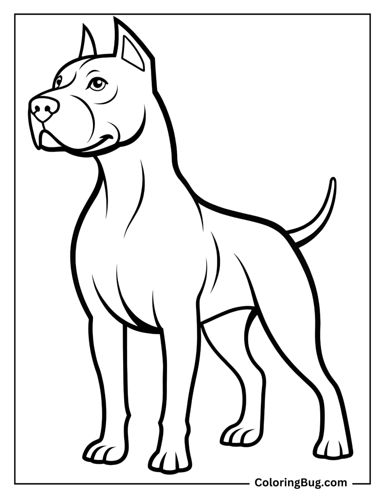 40 Pitbull Coloring Pages (Free Printable PDFs)