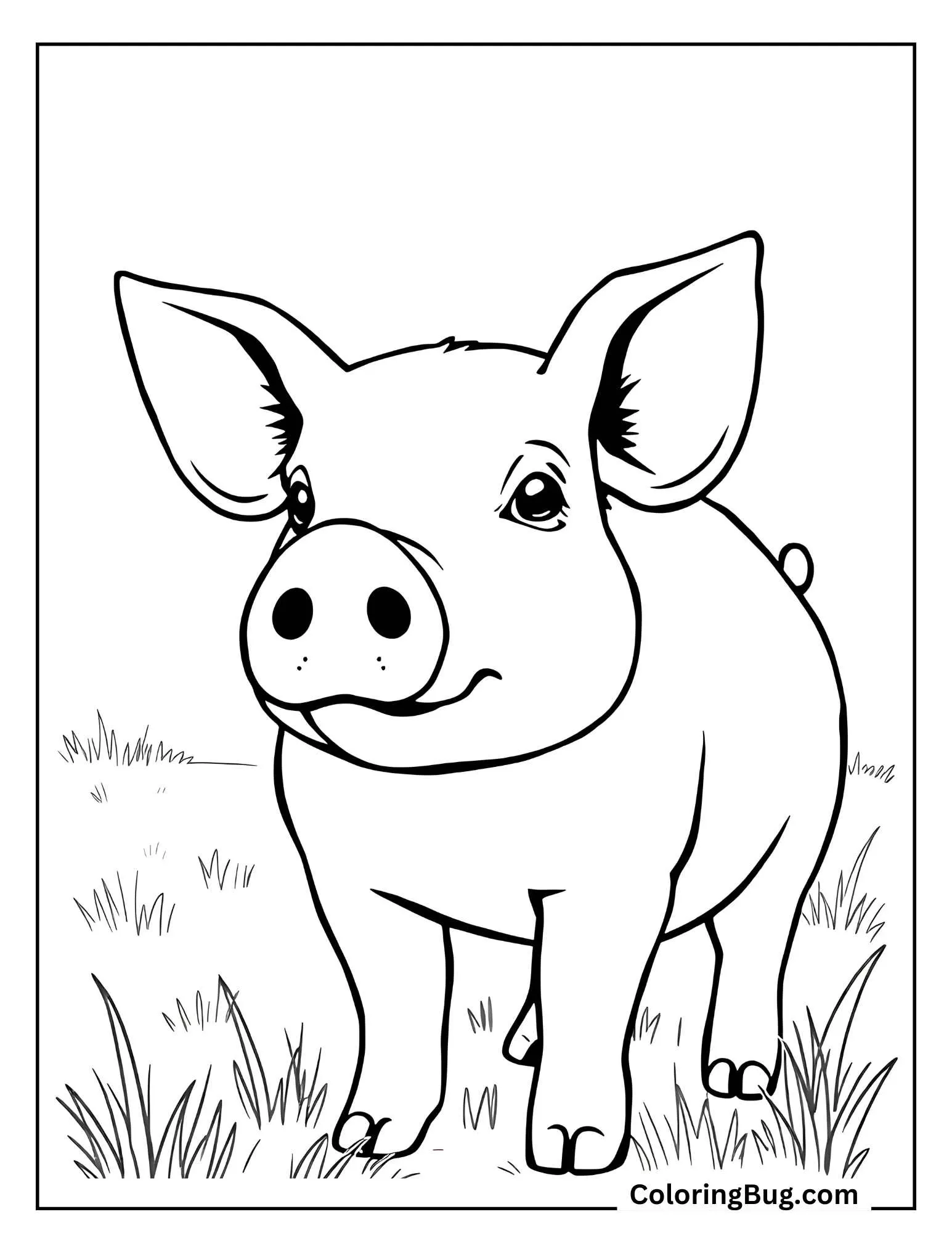 44 Pig Coloring Pages (Free Printable PDFs)