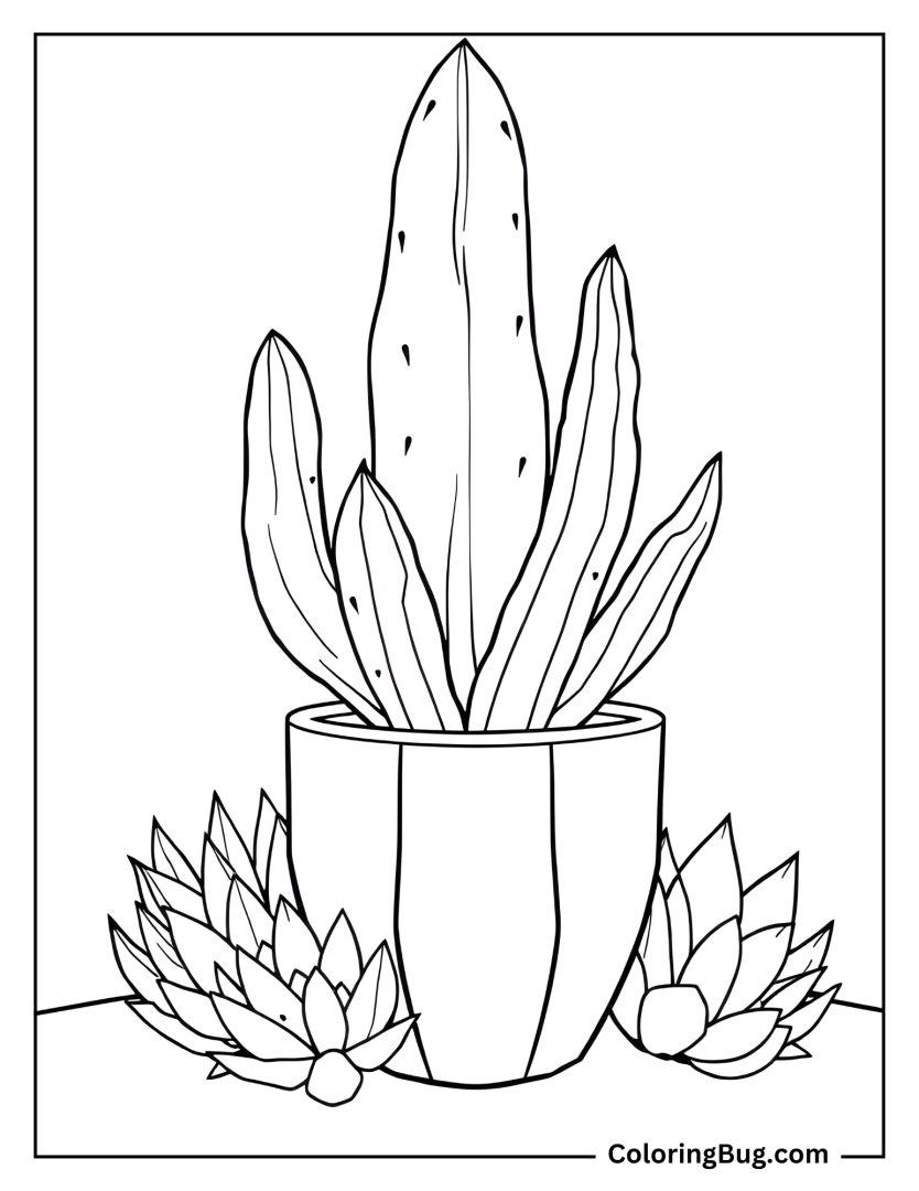 30 Cactus Coloring Pages (Free Printable PDFs)