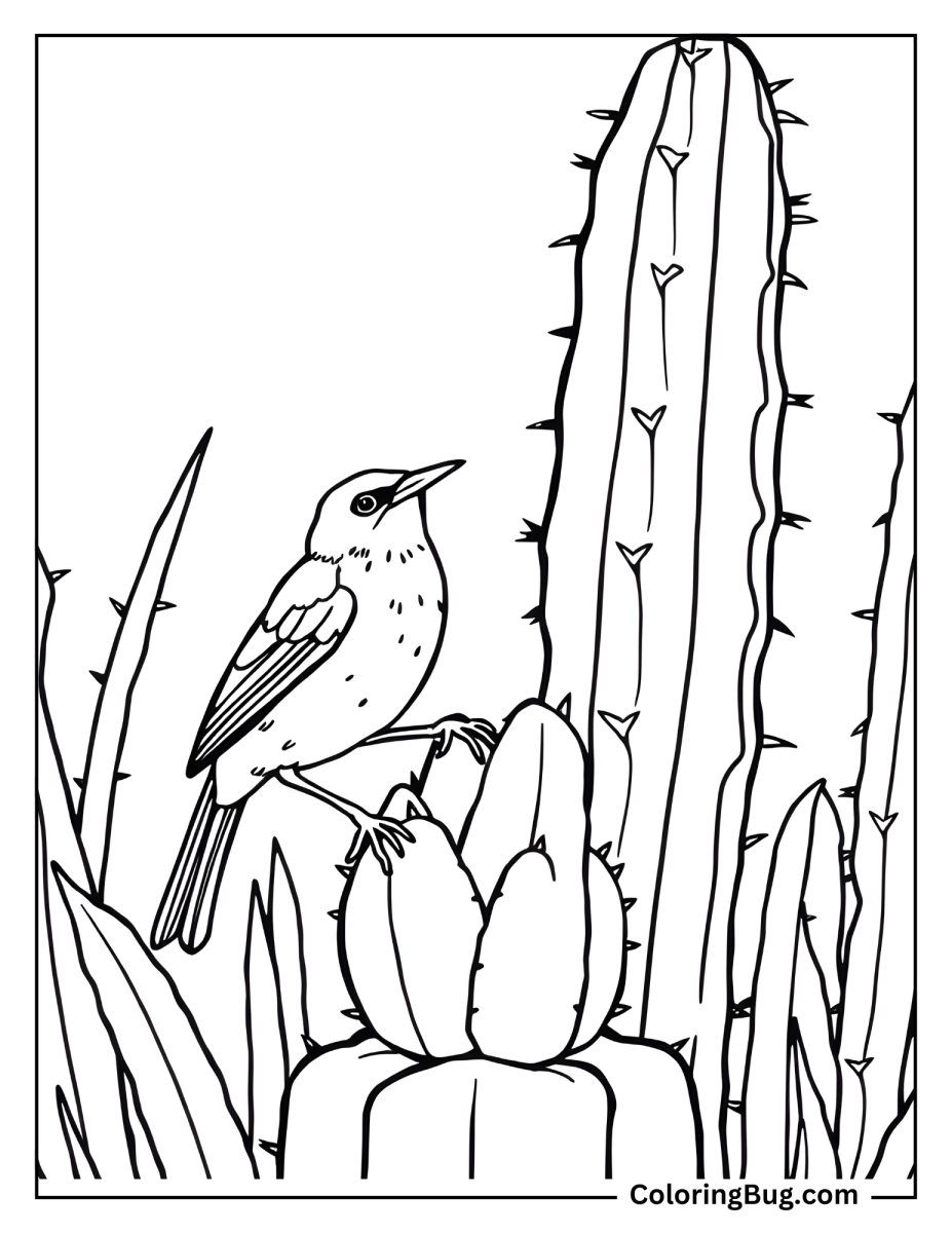 30 Cactus Coloring Pages (Free Printable PDFs)