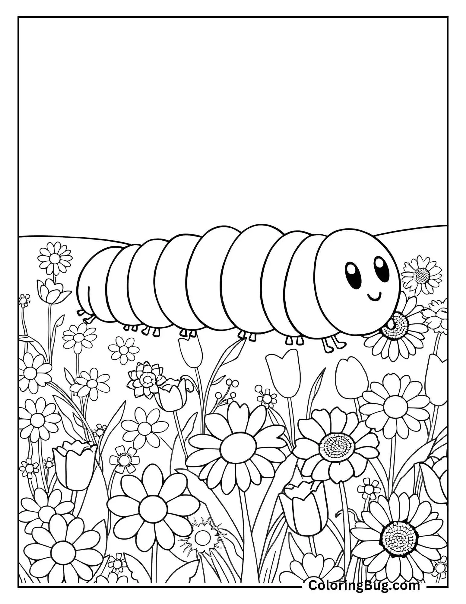 40+ Caterpillar Coloring pages (Free printable PDFs)