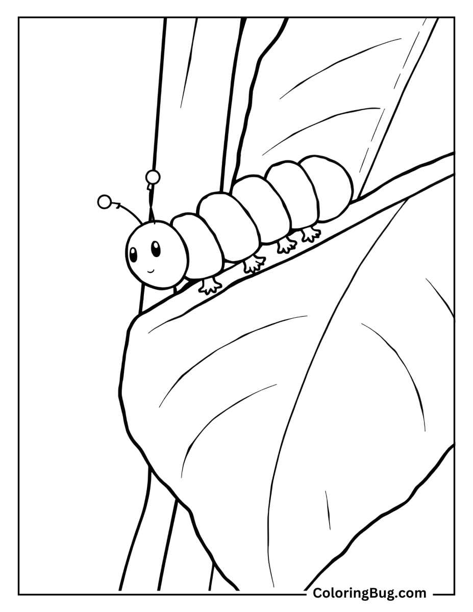 40+ Caterpillar Coloring pages (Free printable PDFs)