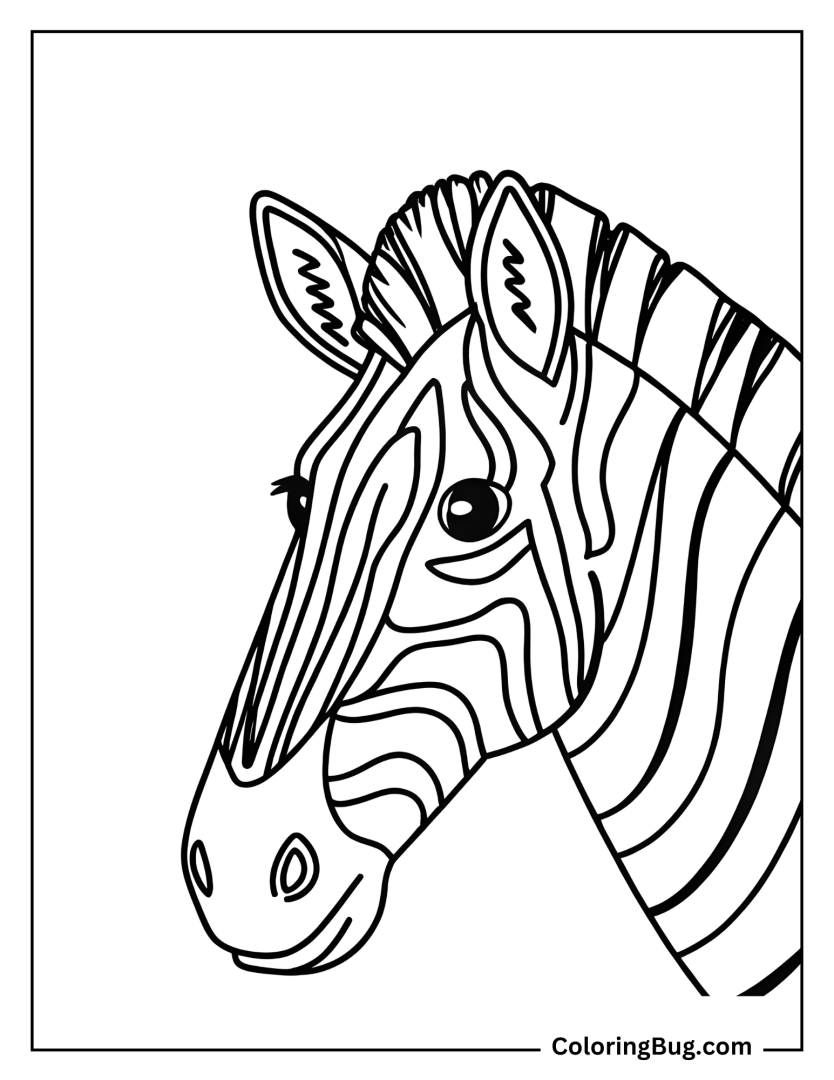 28 Zebra Coloring Pages (Free Printable PDFs)