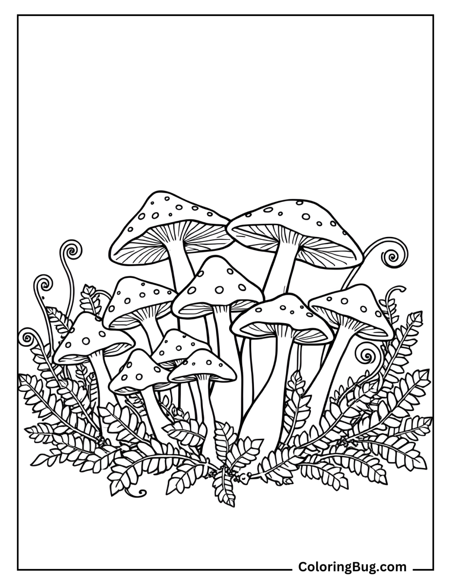 50 Mushrooms Coloring Pages (Free Printable PDFs)