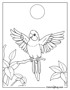 54 Parrot Coloring Pages (Free Printable PDFs)