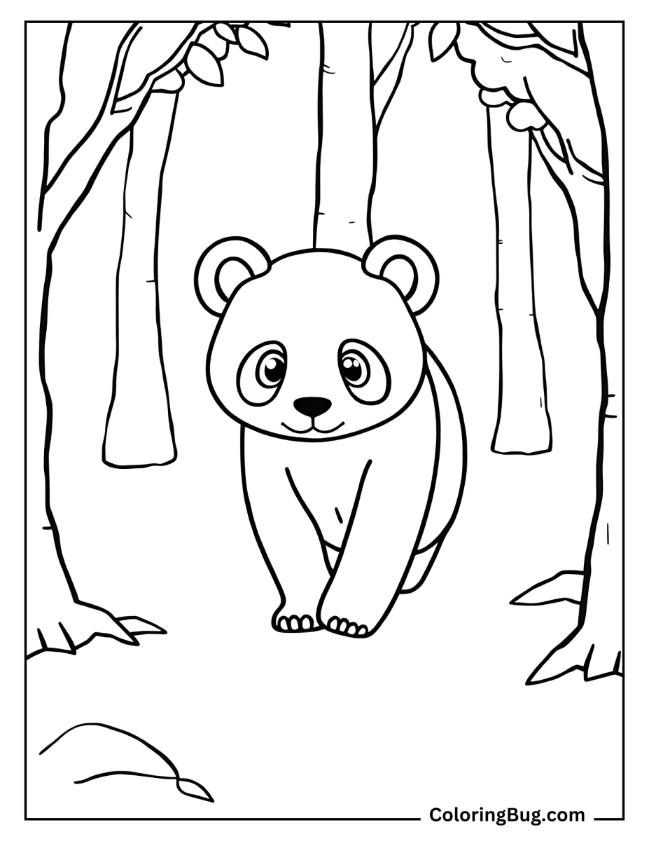 24 Panda Coloring Pages (Free Printable PDFs)