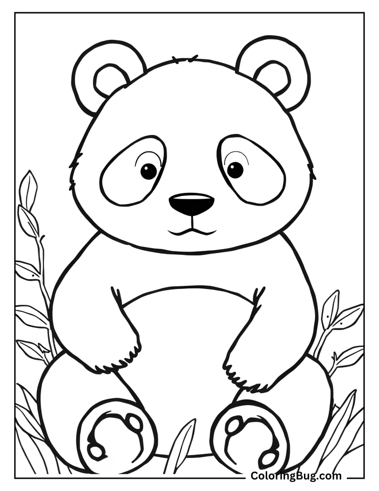 24 Panda Coloring Pages (Free Printable PDFs)