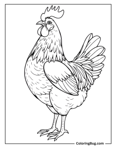 40 Chicken Coloring Pages (Free Printable PDFs)