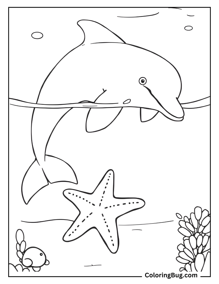 50 Dolphin Coloring Pages (Free Printable PDFs)