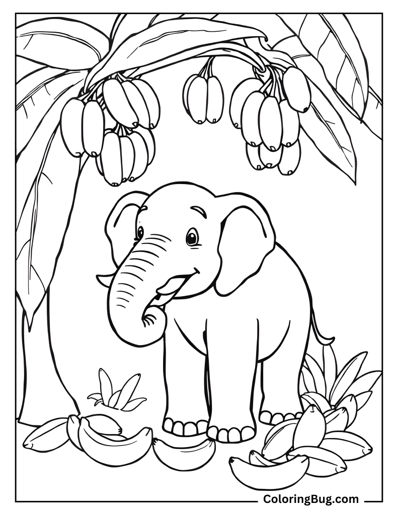 40+ Elephant Coloring Pages (Free Printable PDFs)