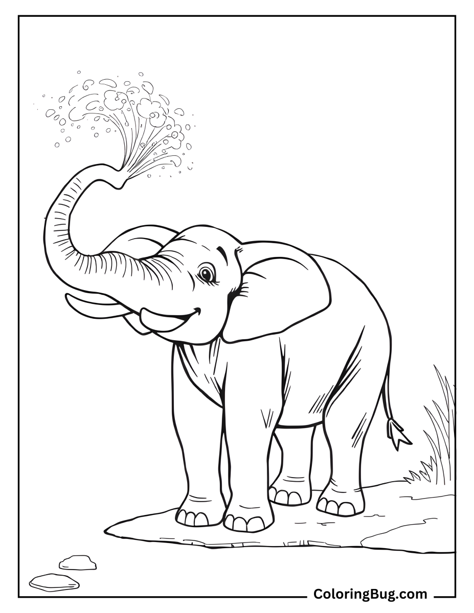 40+ Elephant Coloring Pages (Free Printable PDFs)