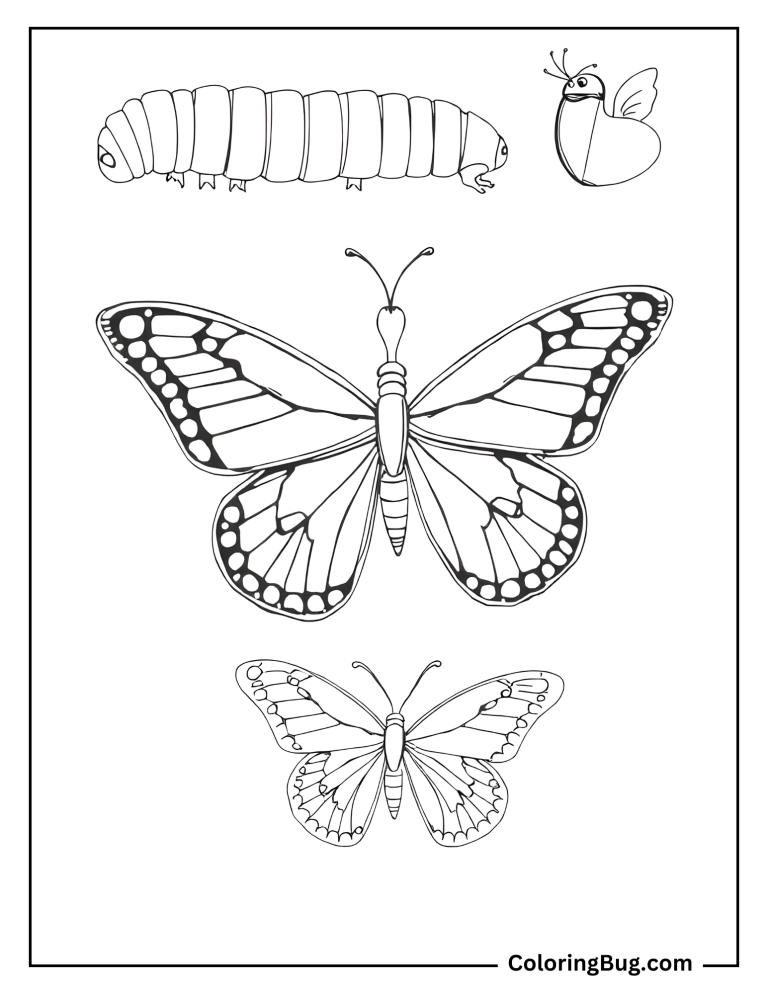 40+ Caterpillar Coloring pages (Free printable PDFs)