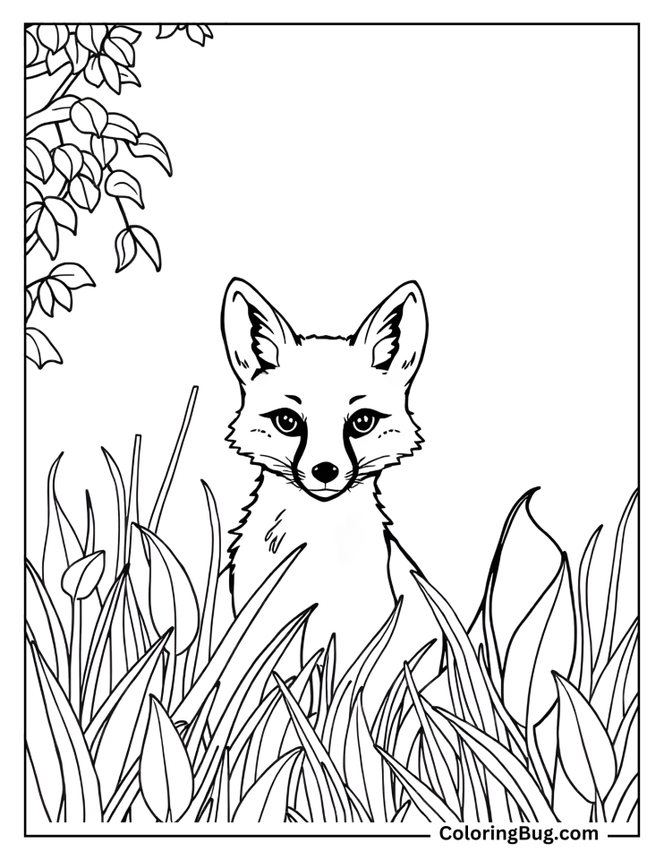 50 Fox Coloring Pages (Free Printable PDFs)