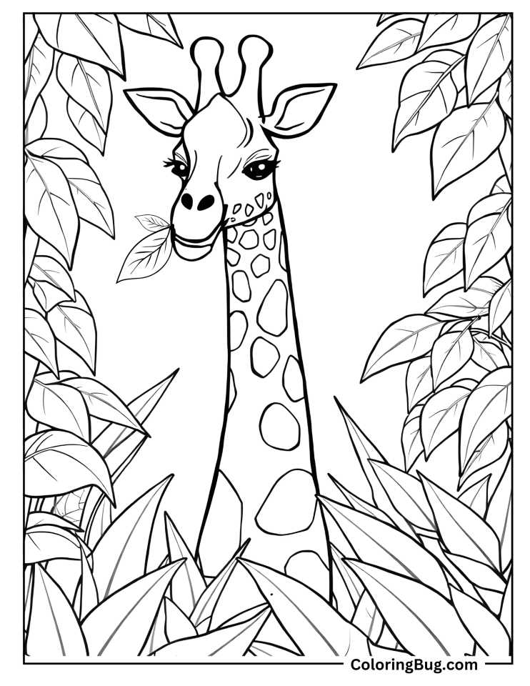 42 Giraffe Coloring Pages (Free Printable PDFs)