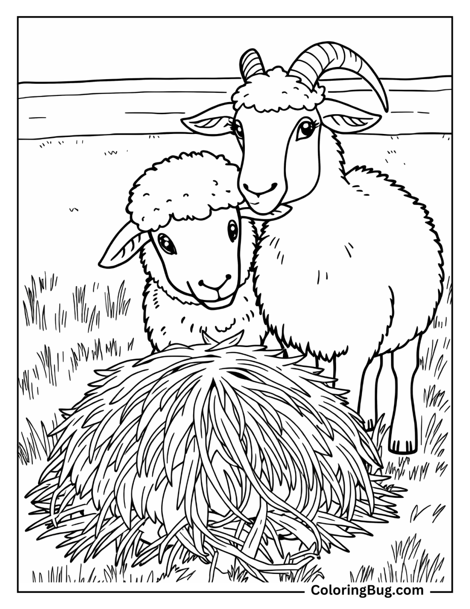 40 Farm Animals Coloring Pages (Free Printable PDFs)
