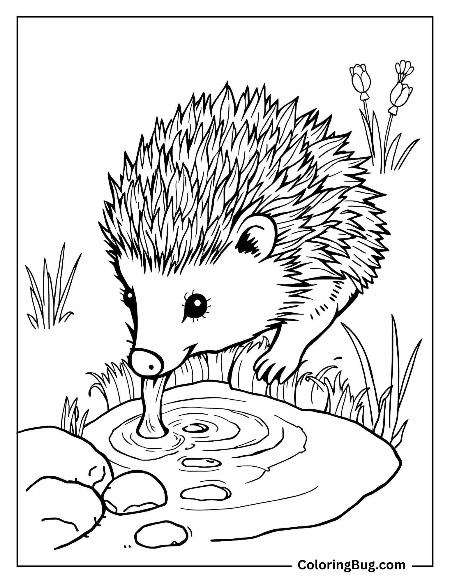 40 Hedgehog Coloring Pages (Free Printable PDFs)