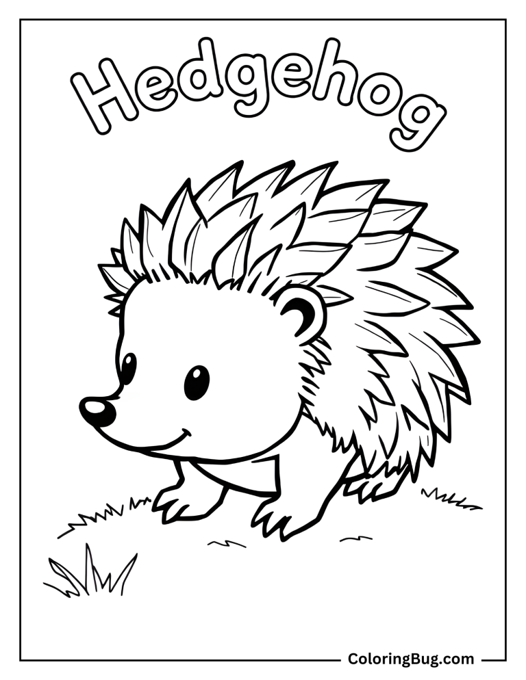 40 Hedgehog Coloring Pages (Free Printable PDFs)
