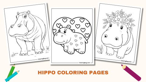 34 Hippo Coloring pages (Free printable PDFs)