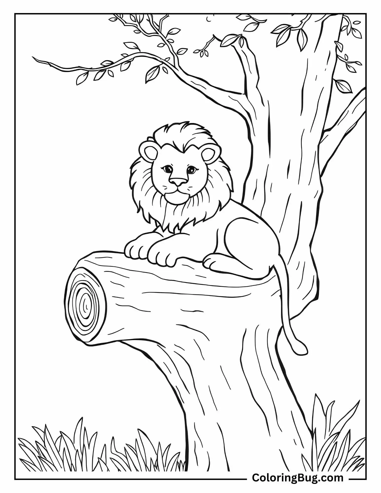 40 Lion Coloring Pages (Free Printable PDFs)