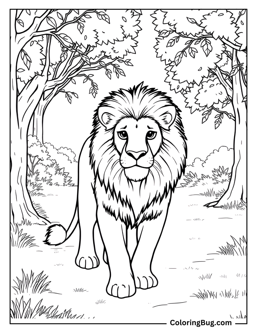 40 Lion Coloring Pages (Free Printable PDFs)