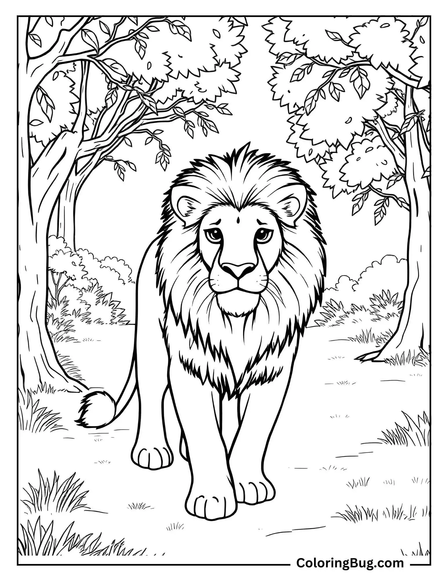 40 Lion Coloring Pages (Free Printable PDFs)