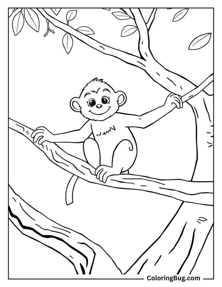 50 Monkey Coloring Pages (Free Printable PDFs)