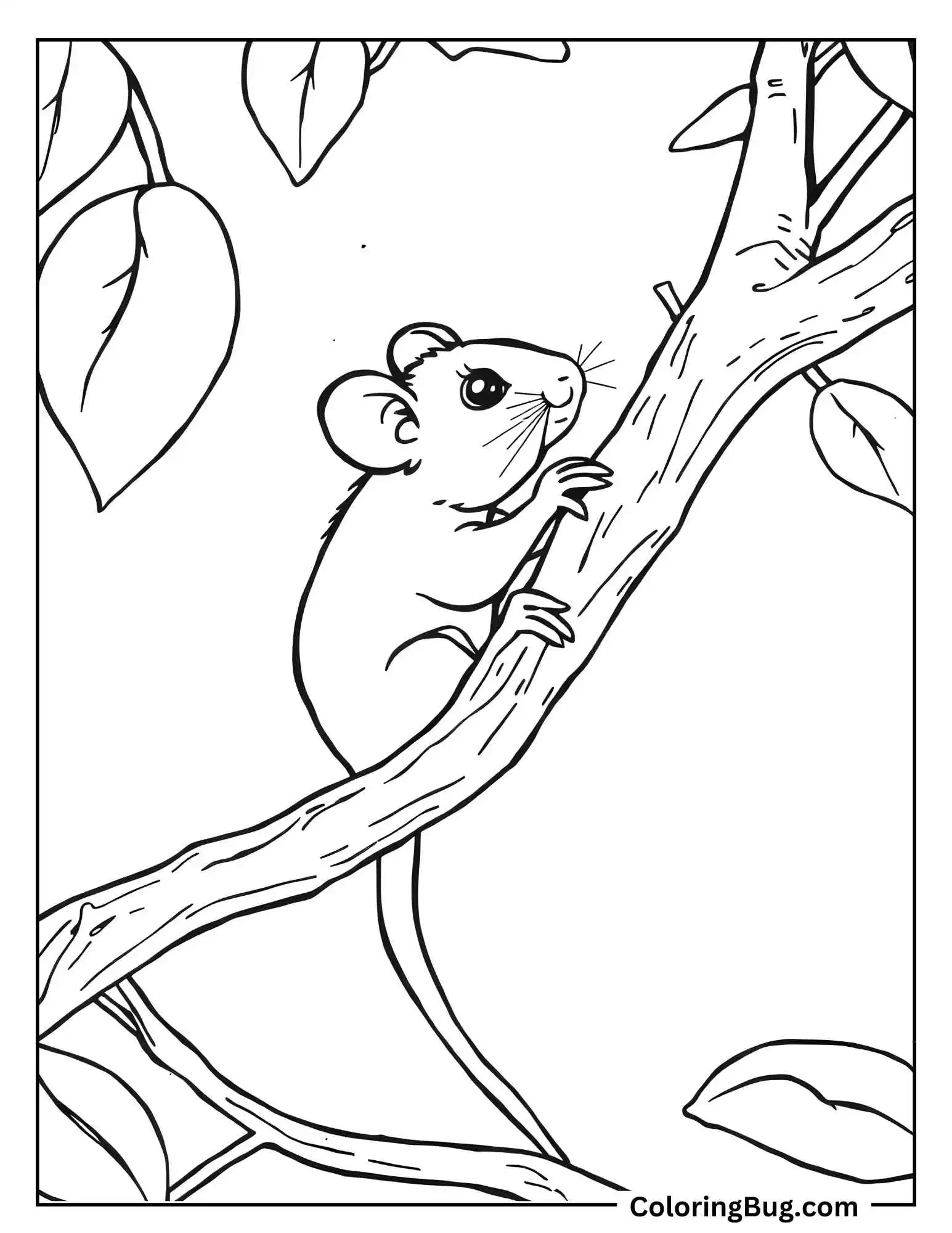 40 Mouse Coloring Pages (Free Printable PDFs)
