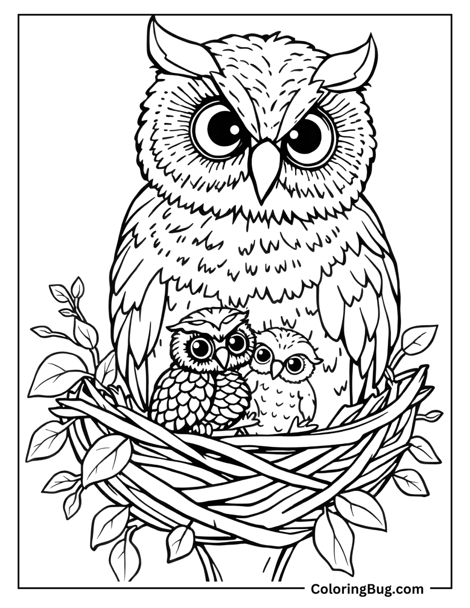 60+ Owl Coloring Pages (Free printable PDFs)