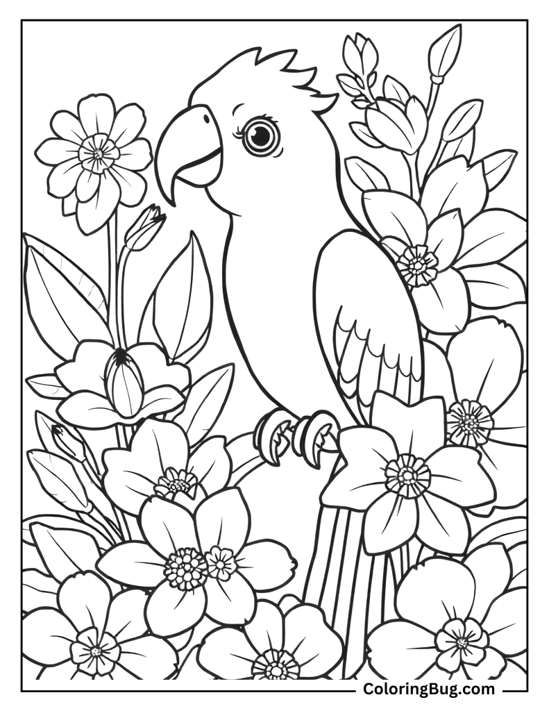 54 Parrot Coloring Pages (Free Printable PDFs)
