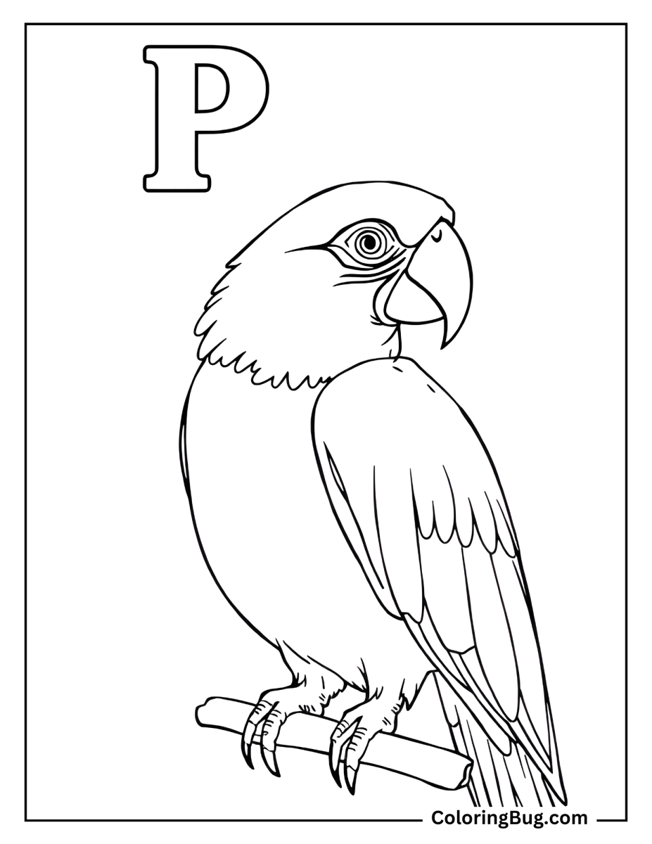 50 Parrot Coloring Pages (Free Printable PDFs)
