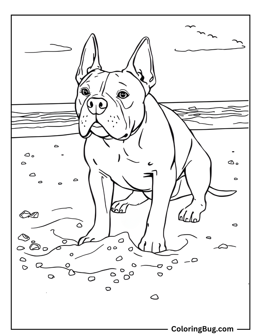 40 Pitbull Coloring Pages (Free Printable PDFs)