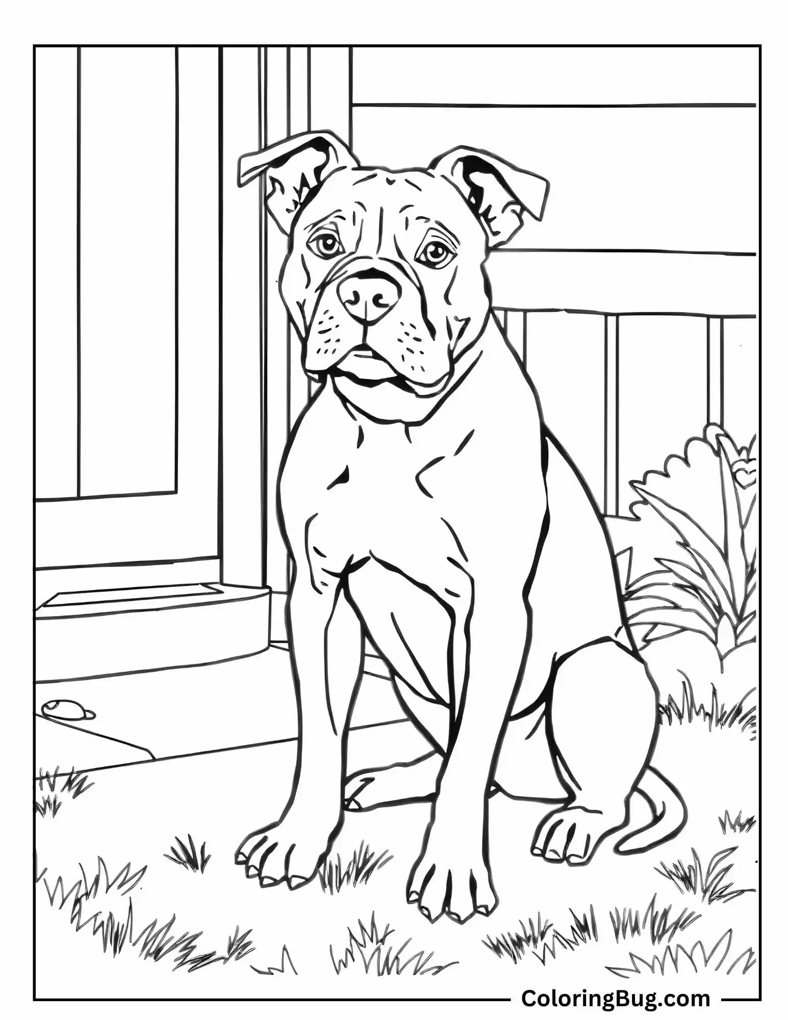 40 Pitbull Coloring Pages (Free Printable PDFs)