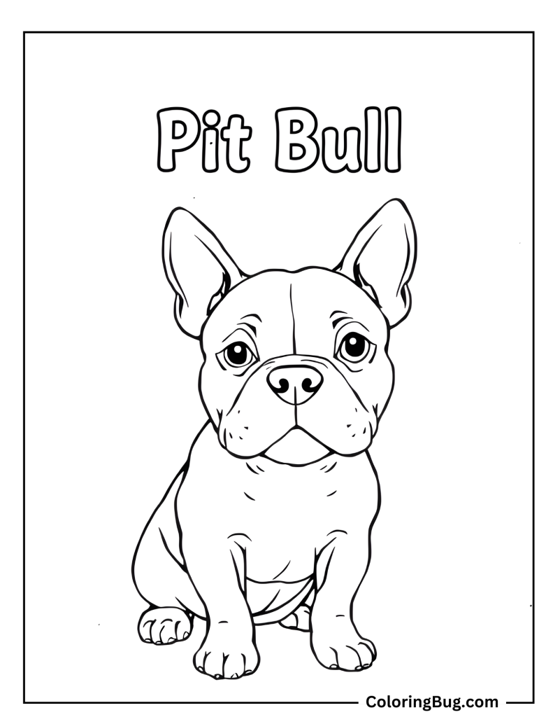 40 Pitbull Coloring Pages (Free Printable PDFs)