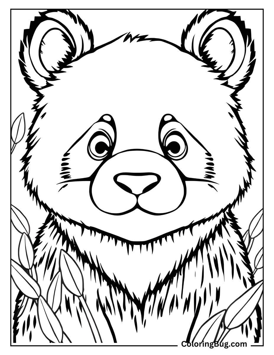 24 Panda Coloring Pages (Free Printable PDFs)