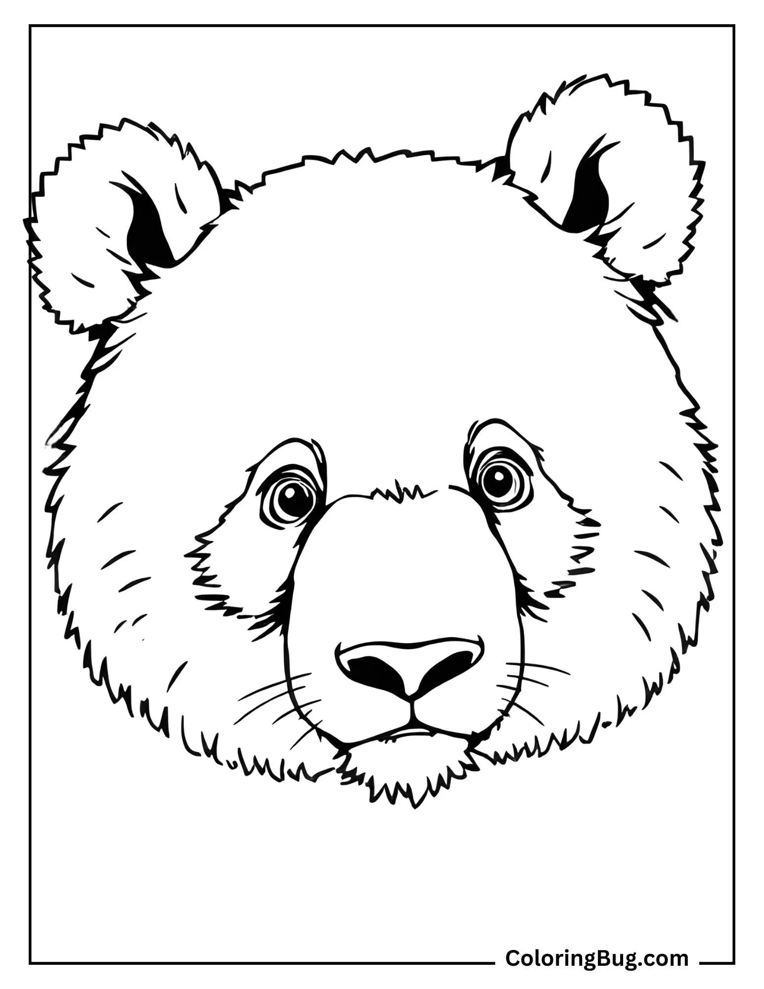 24 Panda Coloring Pages (Free Printable PDFs)
