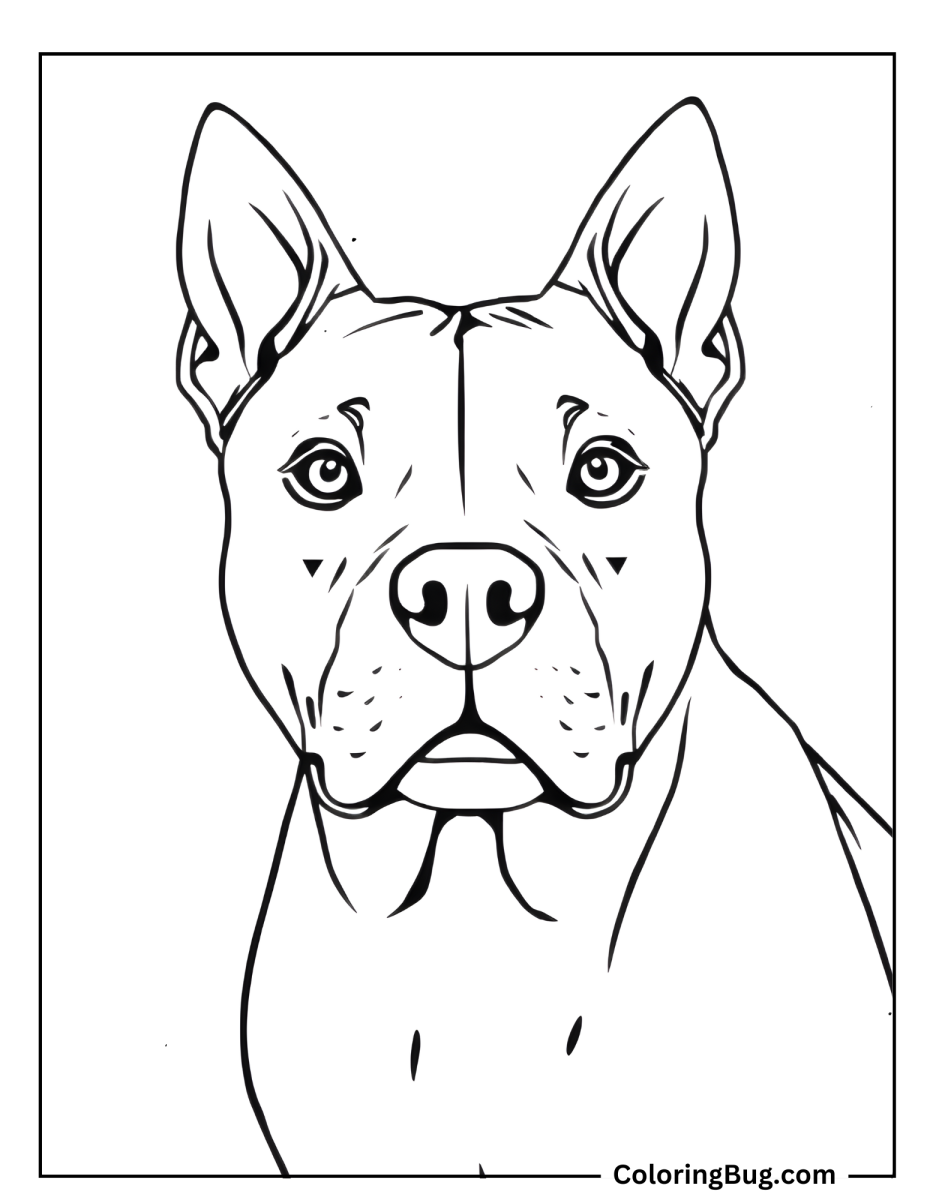 40 Pitbull Coloring Pages (Free Printable PDFs)