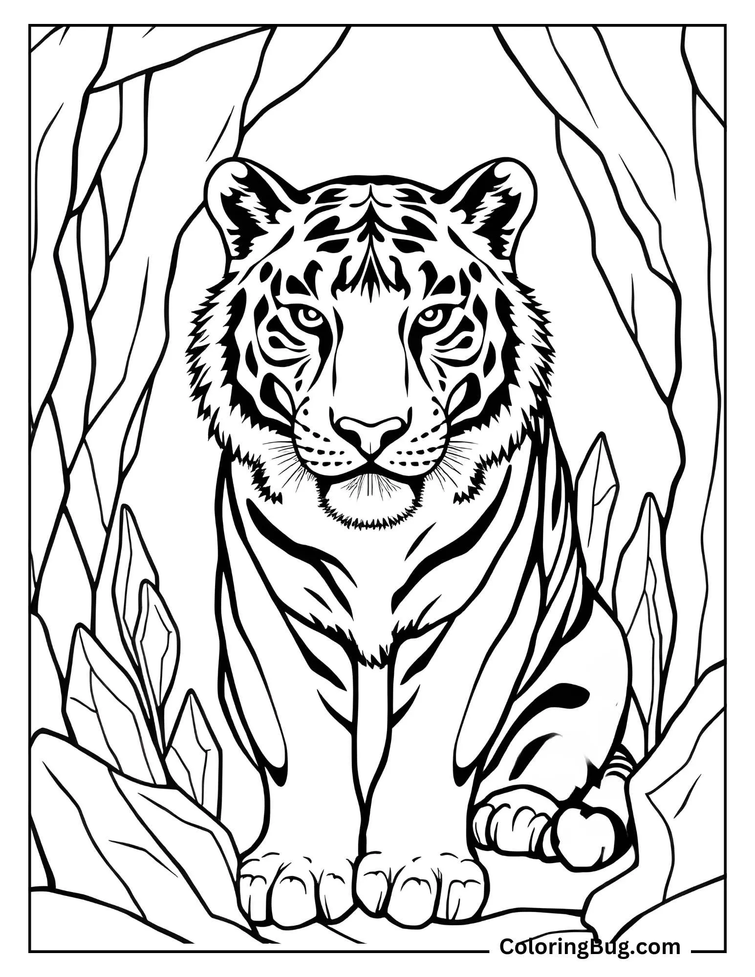 50 Tiger Coloring Pages (Free Printable PDFs)