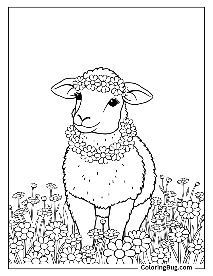 44 Sheep Coloring Pages (Free Printable PDFs)
