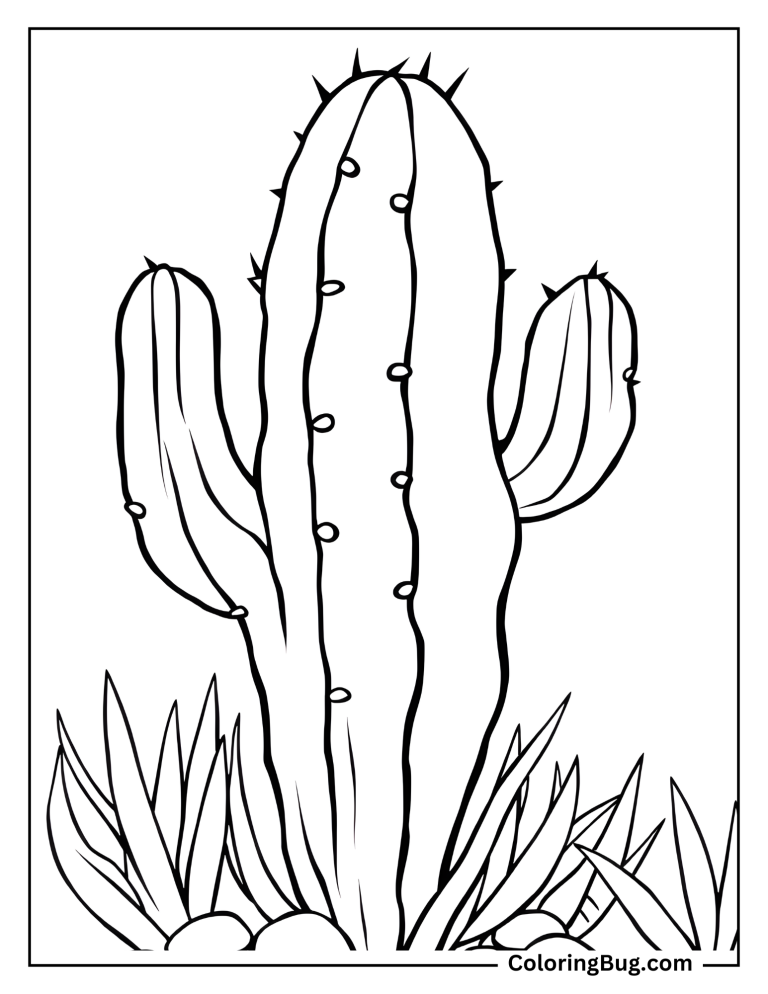 30 Cactus Coloring Pages (Free Printable PDFs)