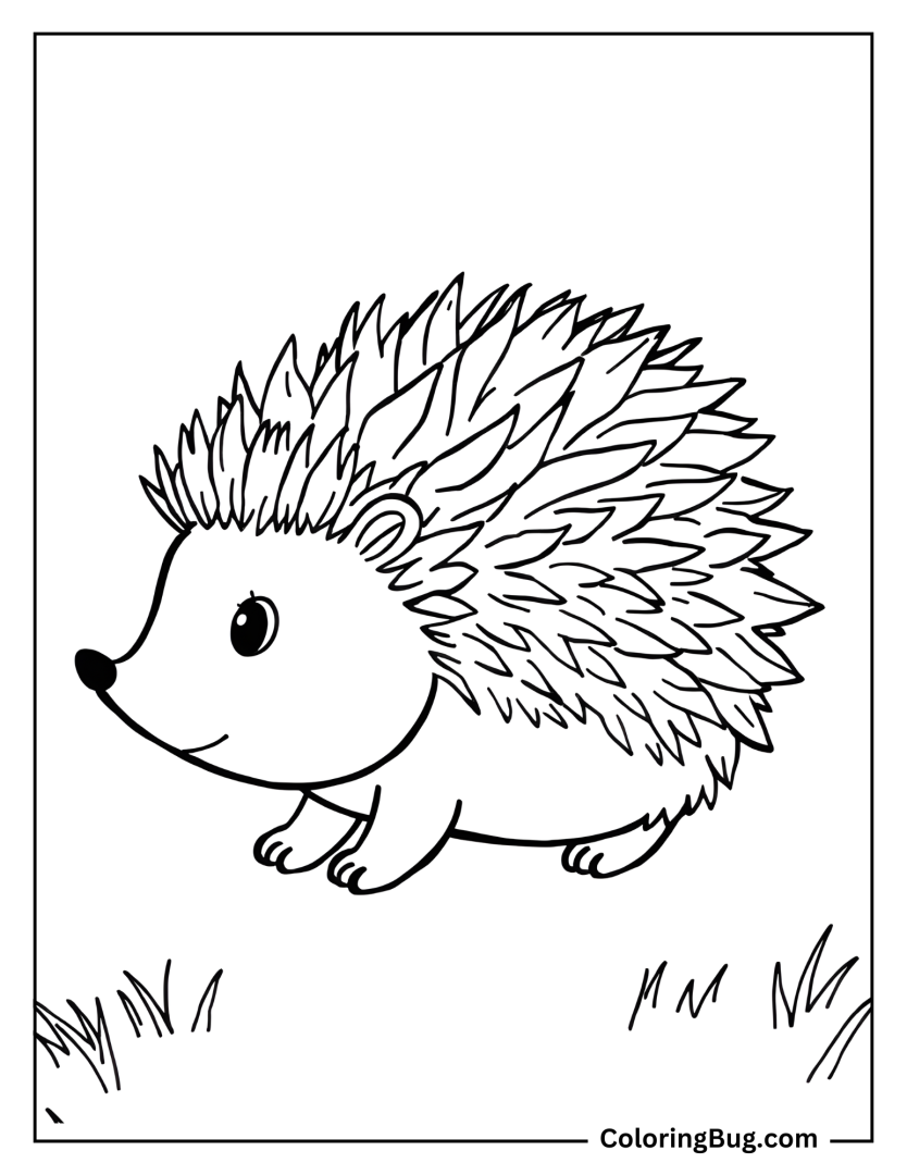 40 Hedgehog Coloring Pages (Free Printable PDFs)