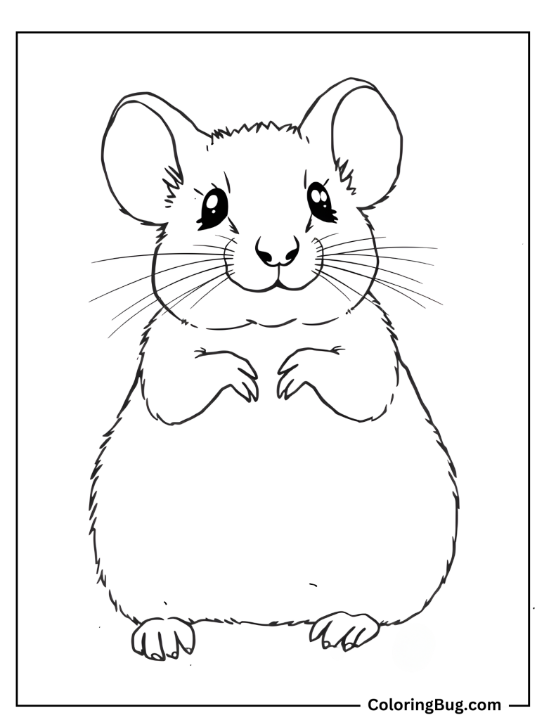 40 Mouse Coloring Pages (Free Printable PDFs)