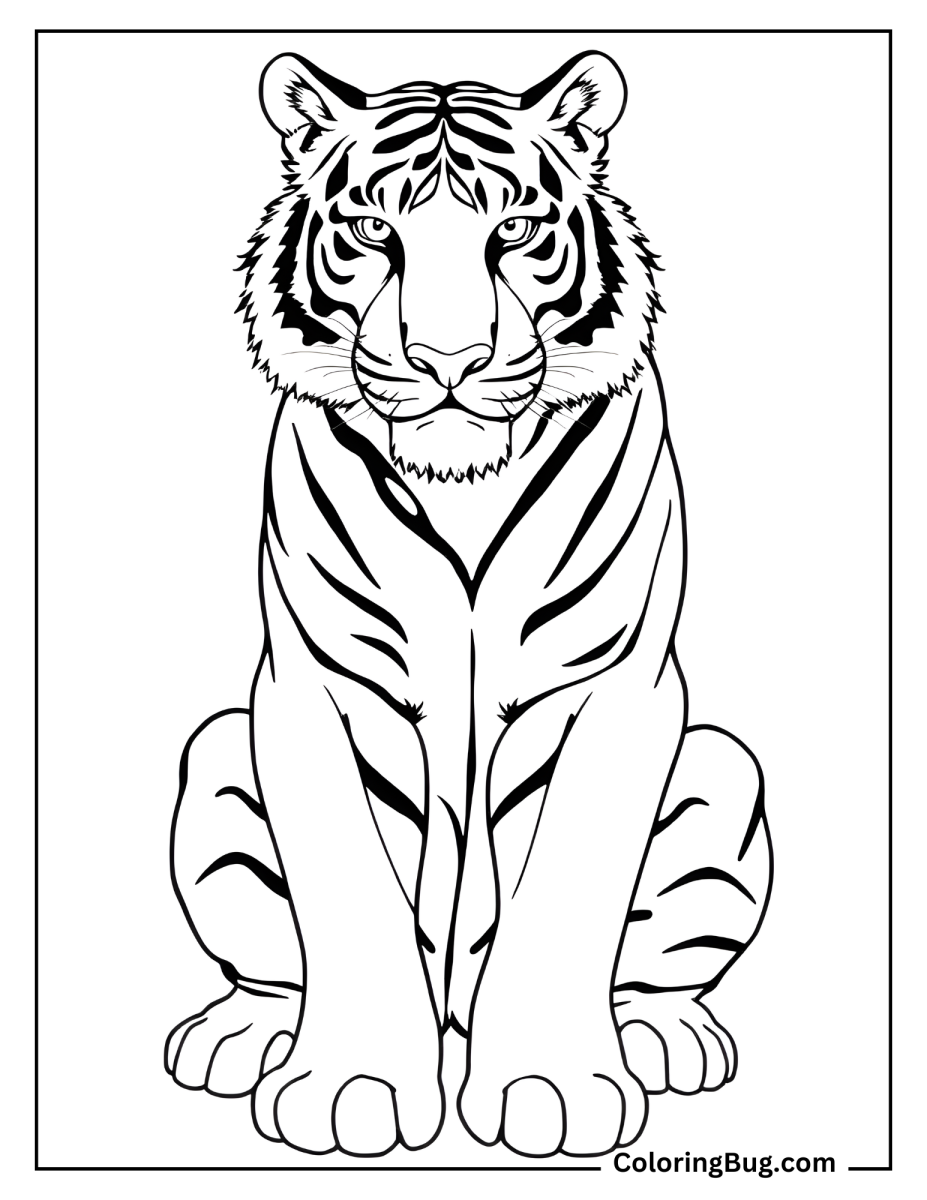 50 Tiger Coloring Pages (Free Printable PDFs)