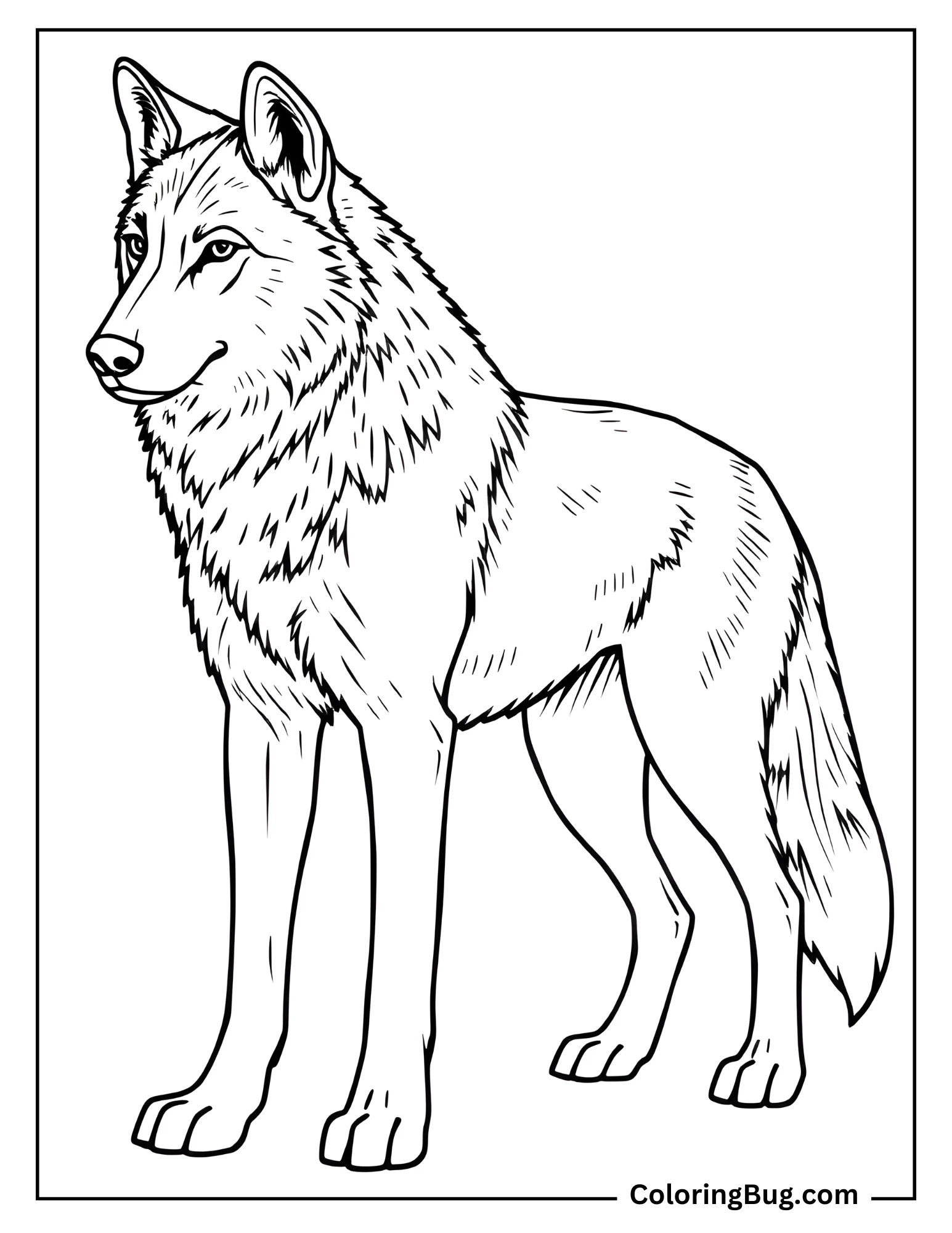 50 Wolf Coloring Pages (Free Printable PDFs)