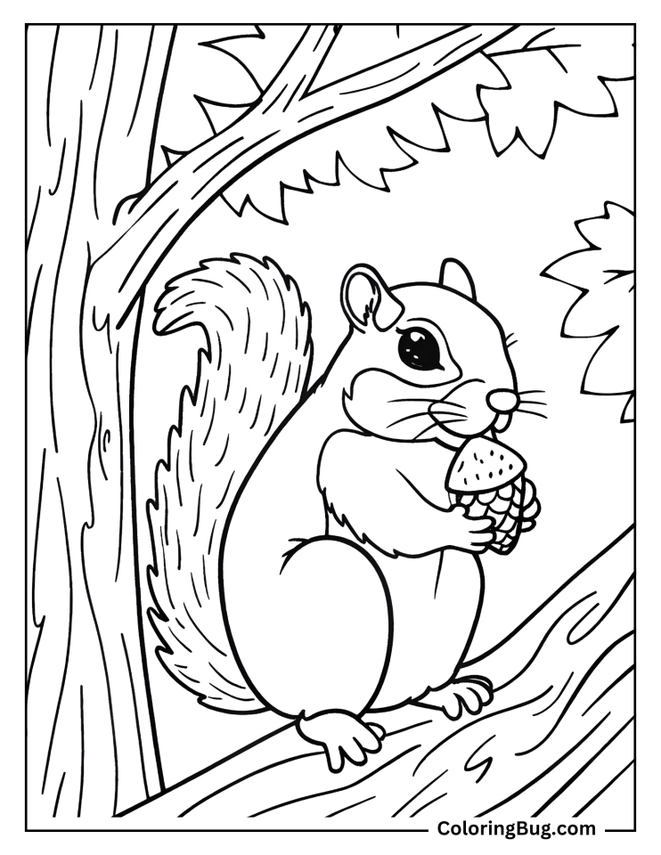 50 Squirrel Coloring Pages (Free Printable PDFs)