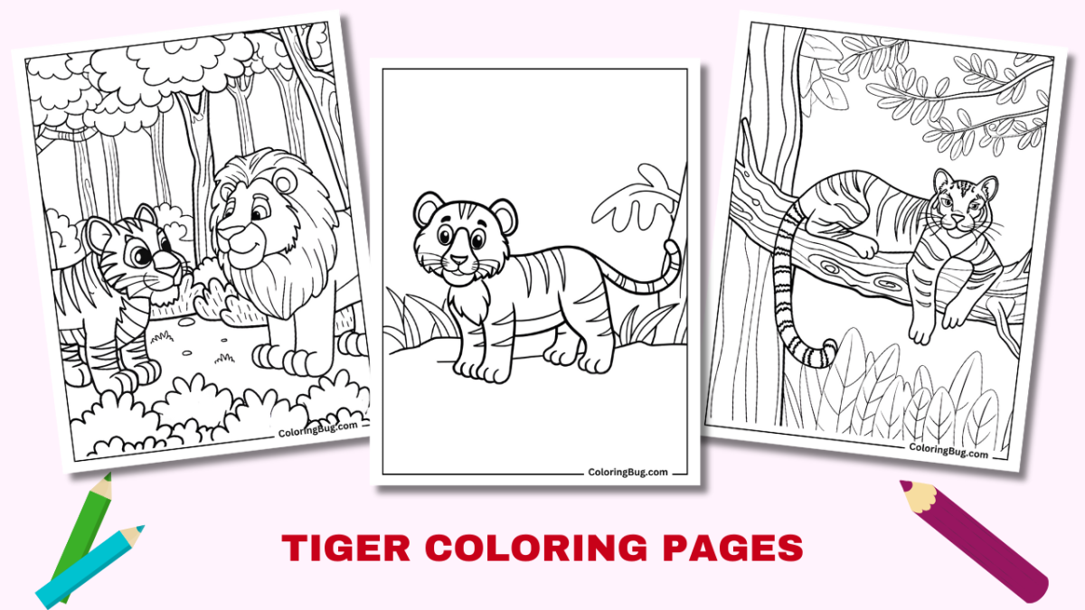 50 Tiger Coloring Pages (Free Printable PDFs)