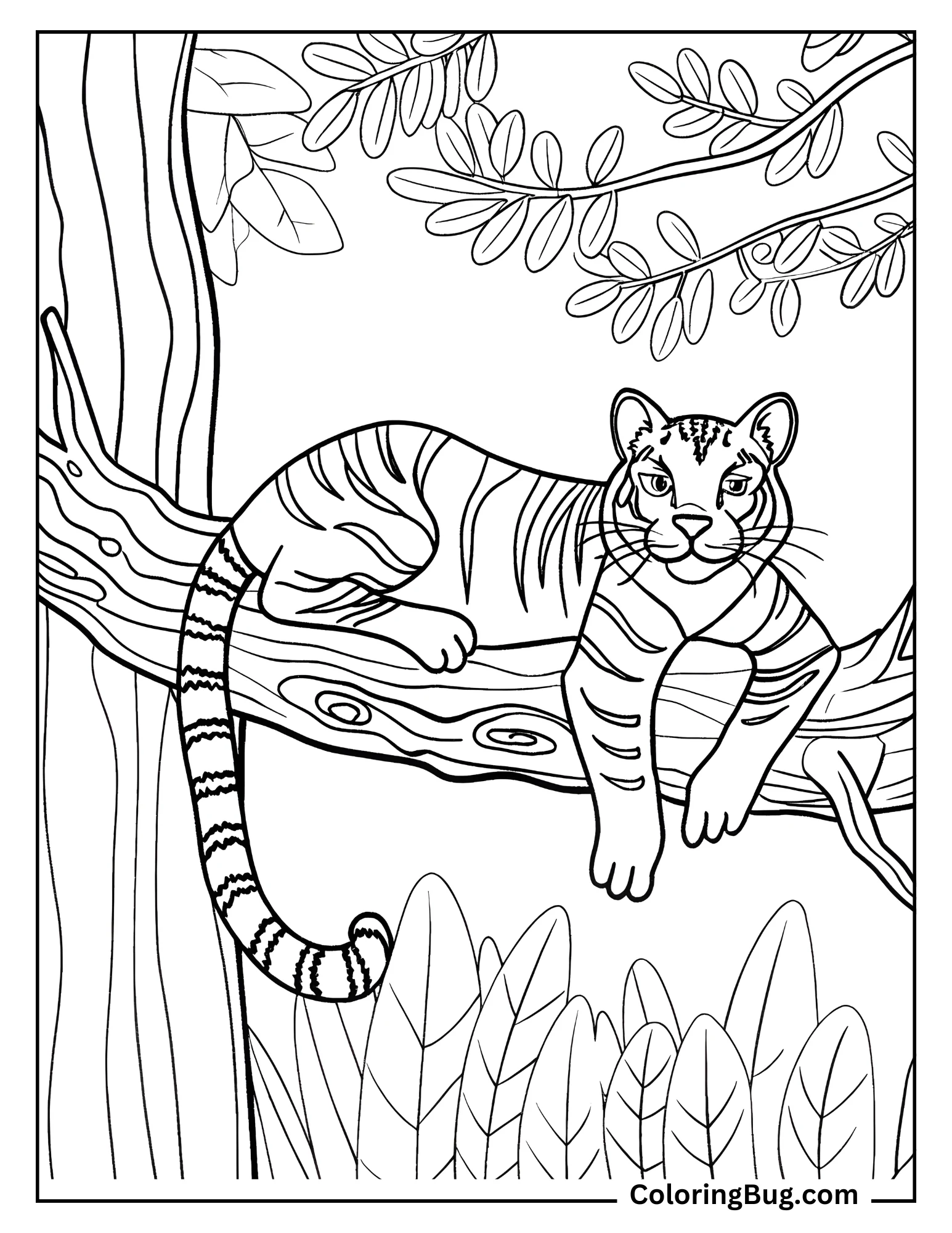 50 Tiger Coloring Pages (Free Printable PDFs)