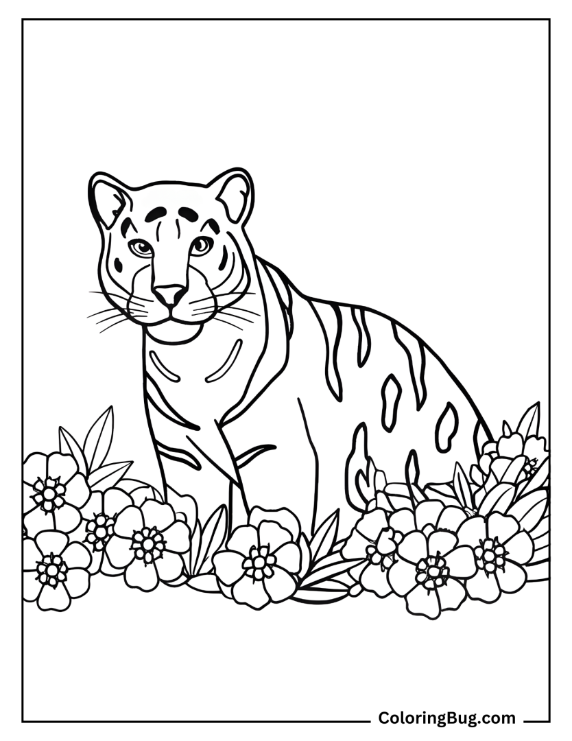 50 Tiger Coloring Pages (Free Printable PDFs)