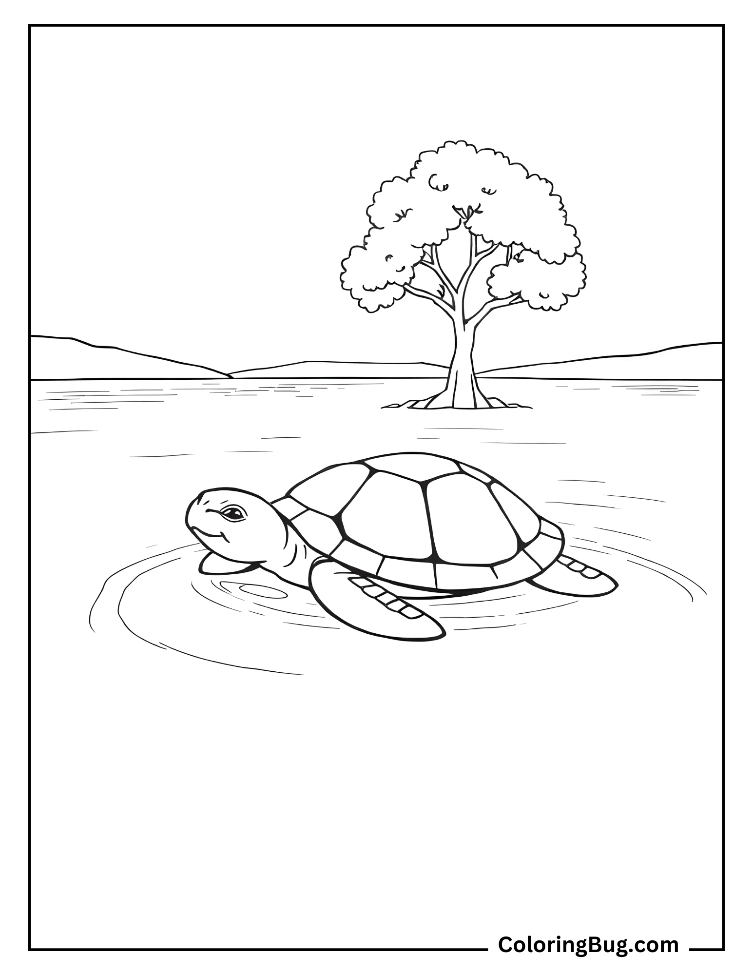52 Turtle Coloring Pages (Free Printable PDFs)