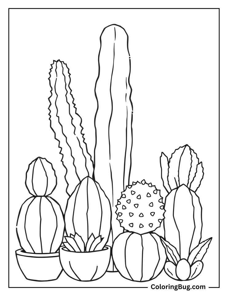 30 Cactus Coloring Pages (Free Printable PDFs)